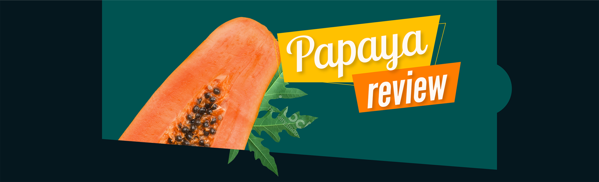 Papaya functions and benefits - Papaya Review - Pro Export Papaya